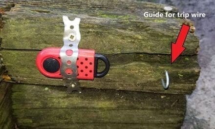 The Best DIY Traps Against Property Intruders - Self Sufficient Projects