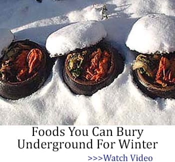 20 Foods That Can Last 20 Years - Self Sufficient Projects