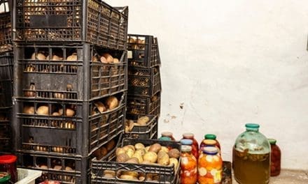 This Is How You Can Live Without Refrigeration - Self Sufficient Projects