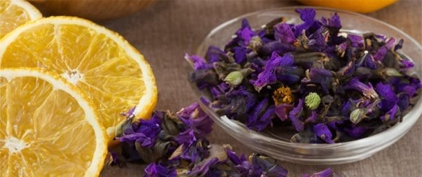 Amish Natural Remedies Every Homesteader Should Know