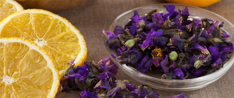 Amish Natural Remedies Every Homesteader Should Know