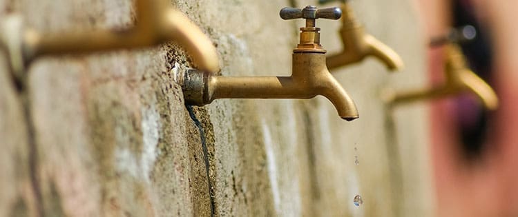 This is How To Survive In A World Without Water